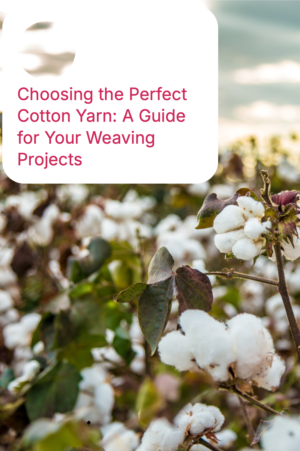 Choosing the Perfect Cotton Yarn: A Guide for Your Weaving Projects ...
